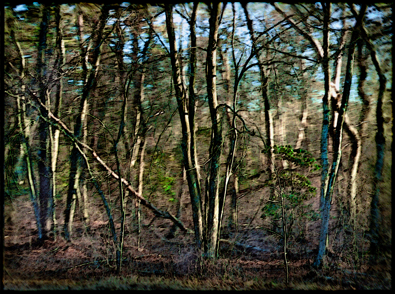 Photographer Wendel White's Landscape II portfolio.